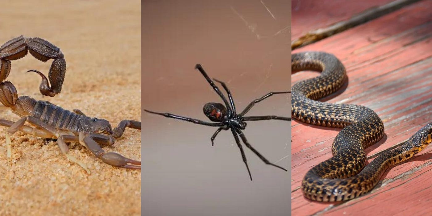 Ascension Continuing Education